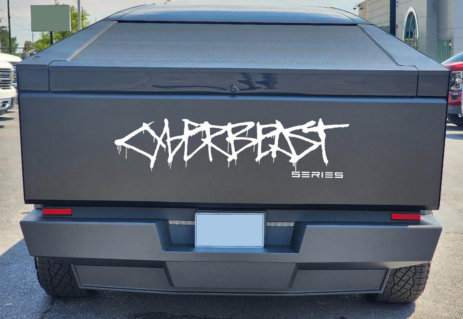 Cybertruck Tailgate Graffiti Logo Vinyl Decal – aptesl